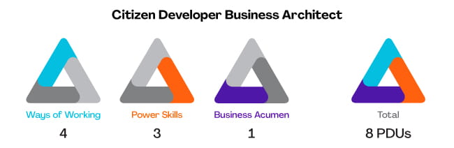 Citizen Developer Business Architect | PMI
