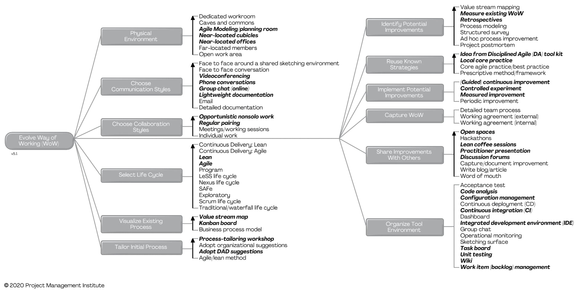 Process Tailoring Workshops – Disciplined Agile (DA)