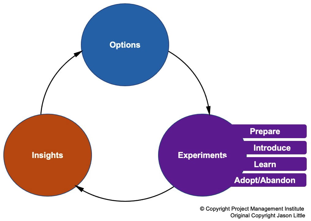 Lean Change Management